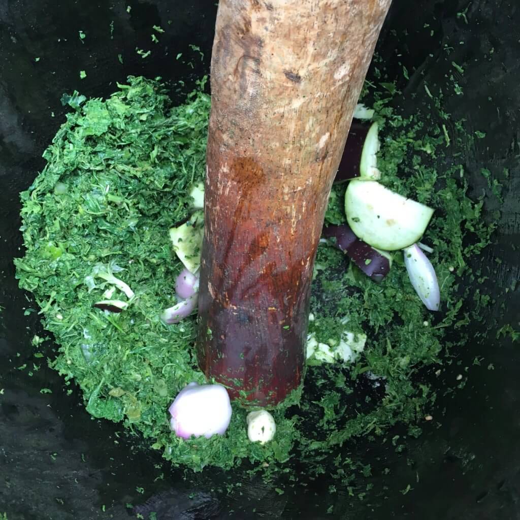 Le pondu ou saka saka: recette congolaise et bienfaits - Ayandjole